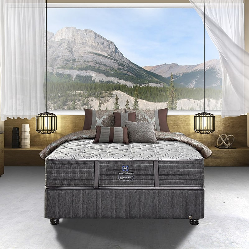 Sealy – Mister Bed